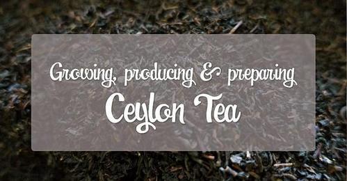 [English] All you need to know about growing, producing & preparing ...